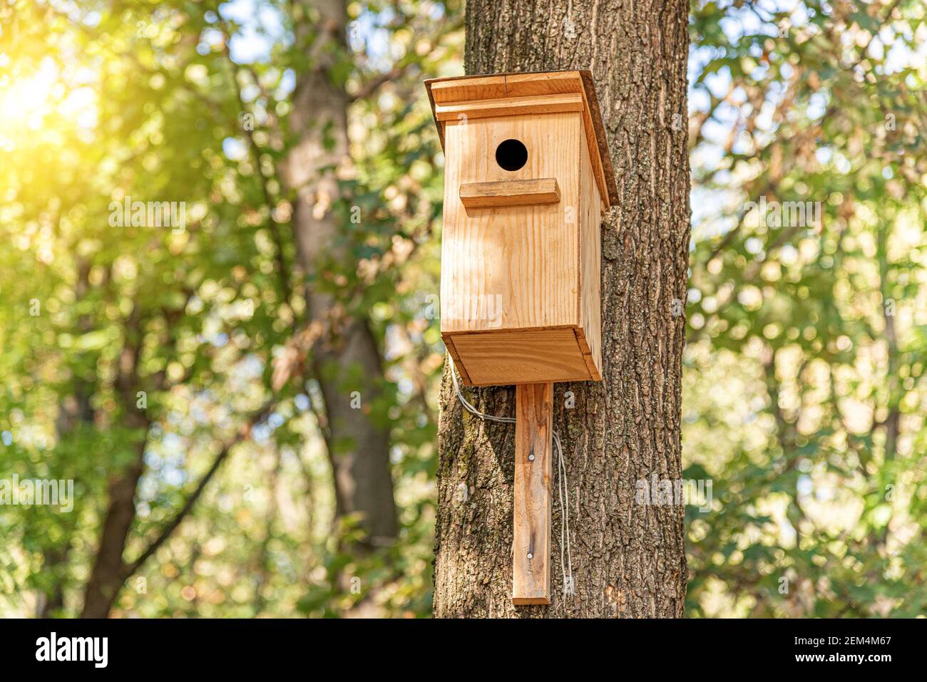 Wooden birdhouse for birds on a tree Stock Photo - Alamy