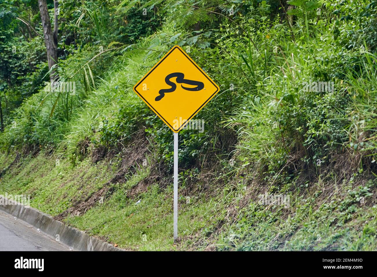 black and yellow road sign. traffic sign showing a snake Stock Photo ...