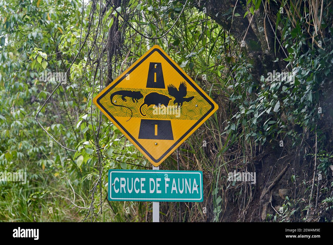 black and yellow road sign. traffic sign showing wild animals Stock ...
