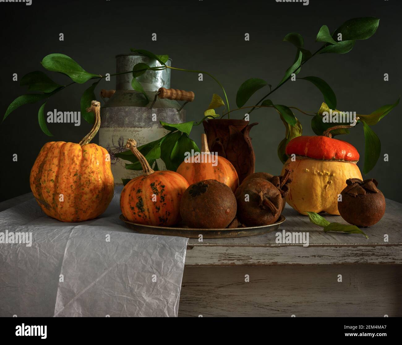 Still life with ripe decorative pumpkins and branches with green leaves ...