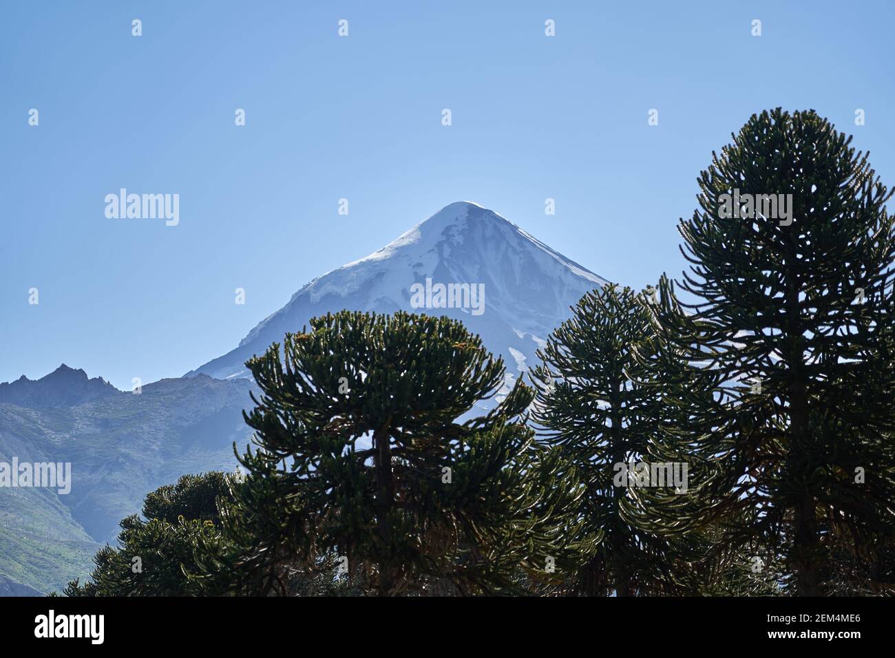 Parque nacional lanin hi-res stock photography and images - Alamy