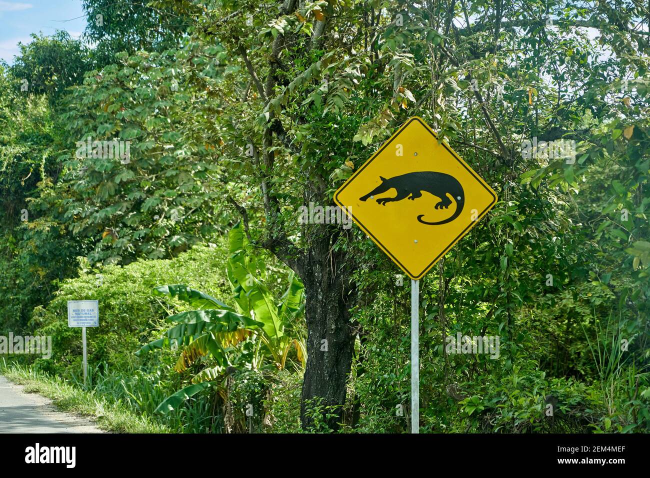 Panamericana square hi-res stock photography and images - Alamy