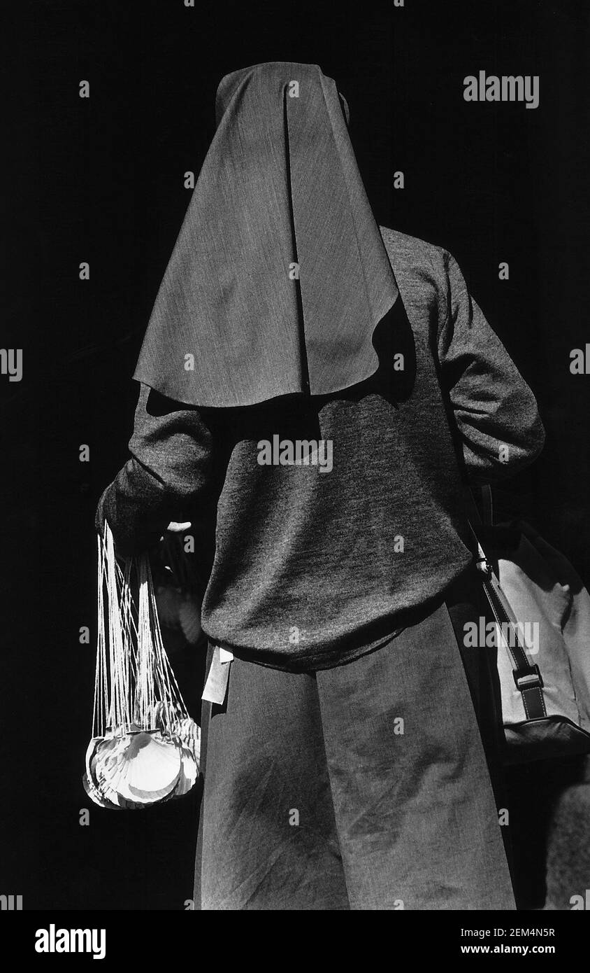 St james shells hi-res stock photography and images - Alamy