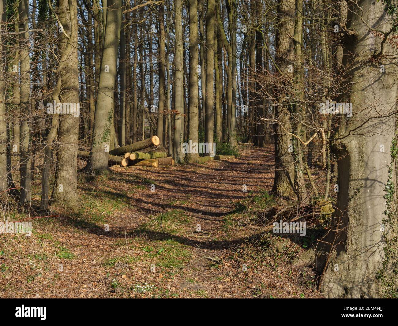 Wuellen hi-res stock photography and images - Alamy