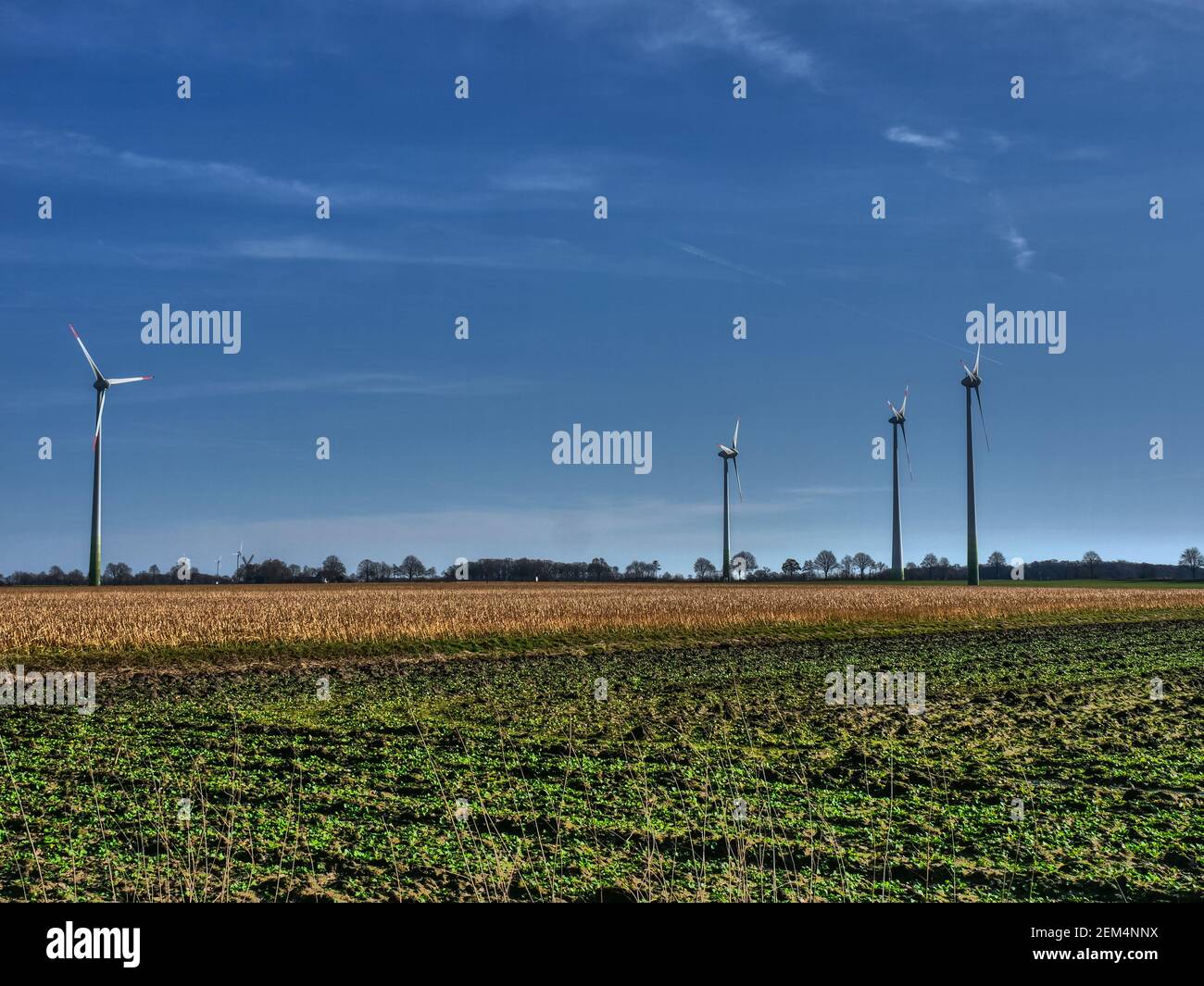 the small village of wuellen in the german muensteralnd Stock Photo - Alamy