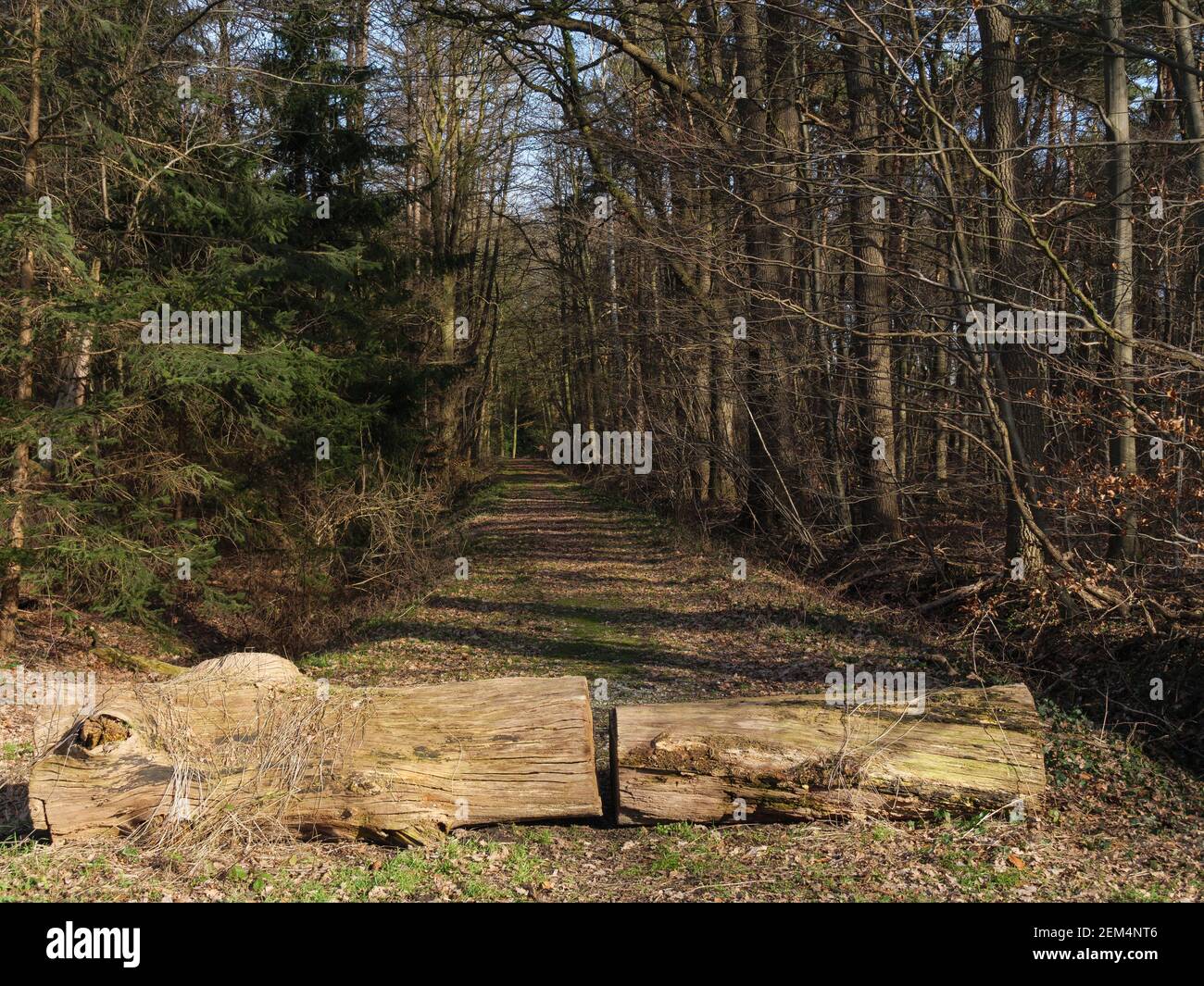 the small village of wuellen in the german muensteralnd Stock Photo - Alamy
