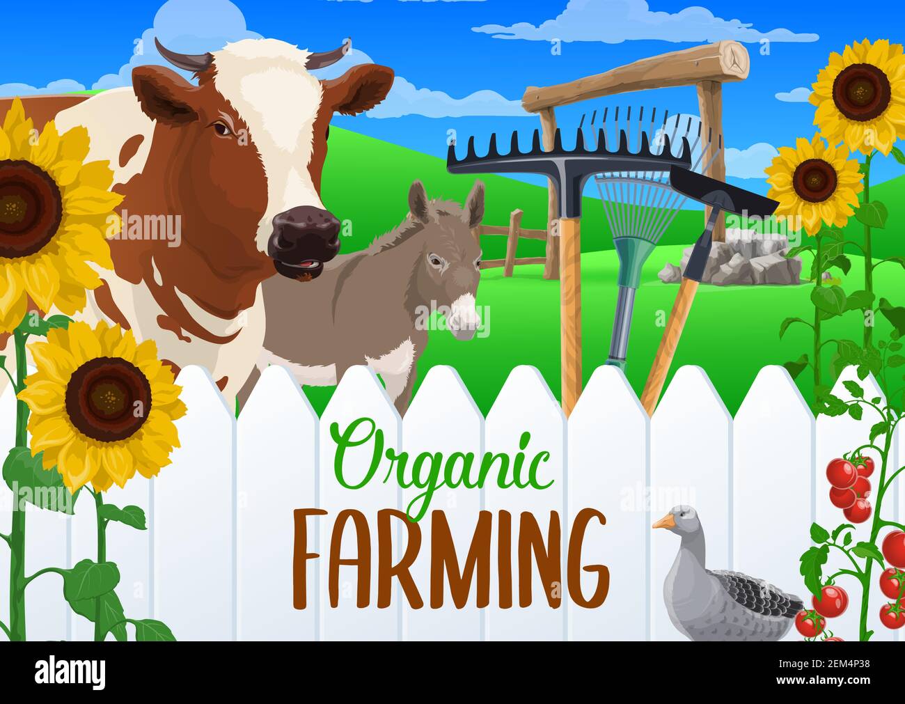 Sunflower in tomato garden Stock Vector Images - Alamy