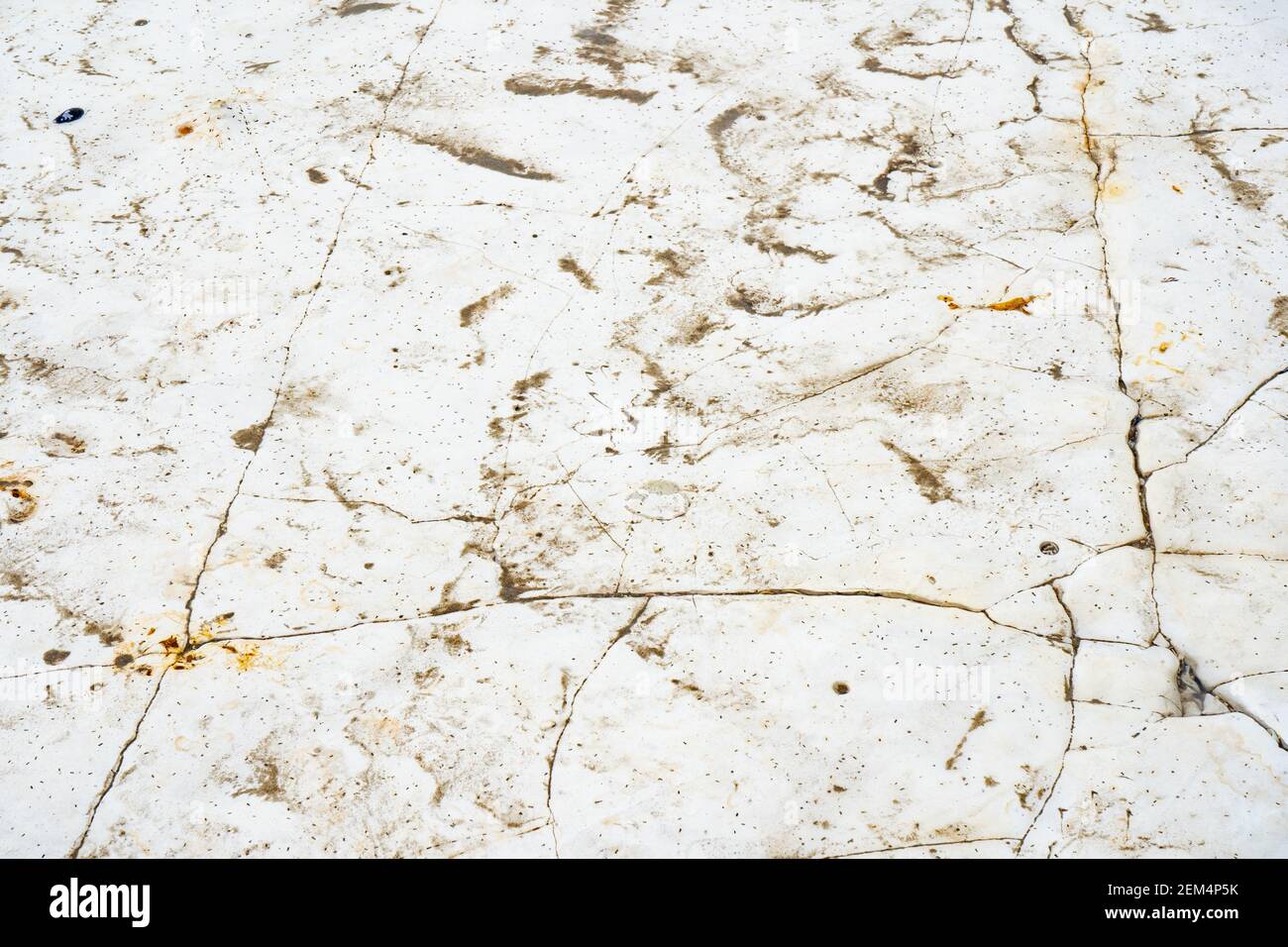 Background photograph of Coast line chalk sea bed in Palm Bay, Margate ...