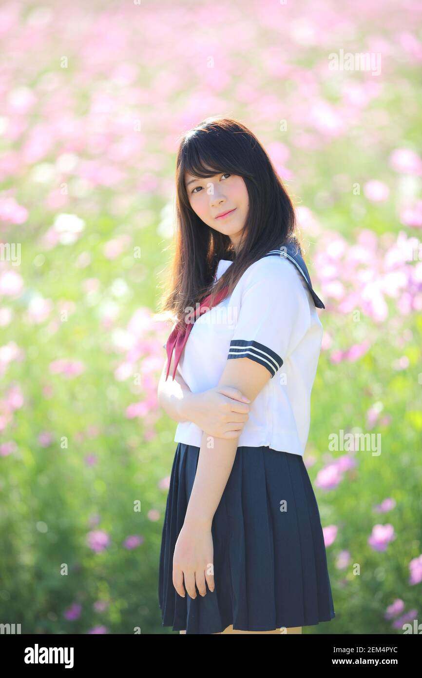 Portrait of Japanese school girl uniform smile with cosmos flower Stock ...