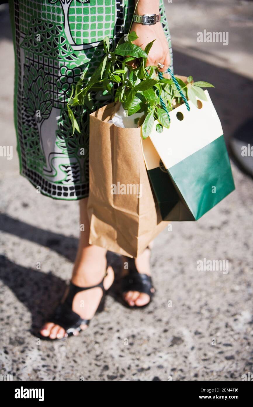 Low section view of a woman carrying paper bags with a plant Stock ...