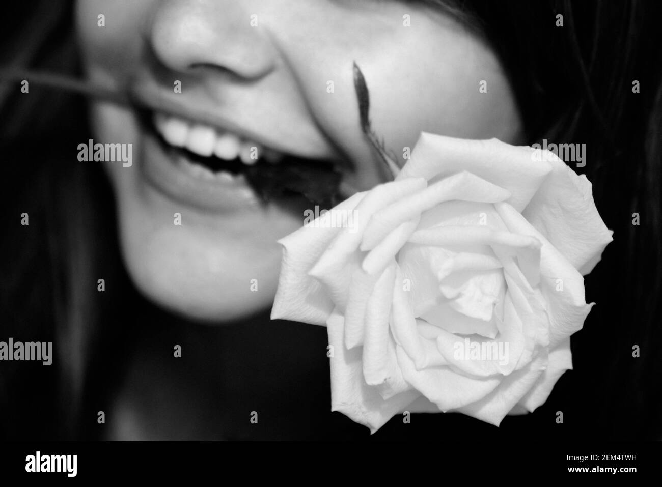 Young woman with rose between teeth hi-res stock photography and images ...