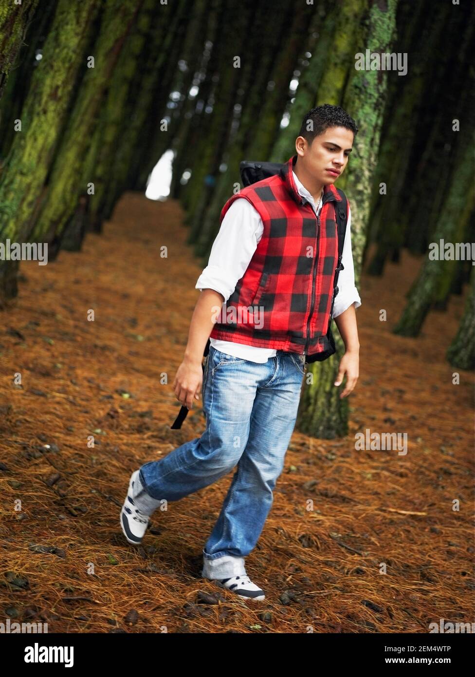 Man carrying tree trunk hi-res stock photography and images - Alamy