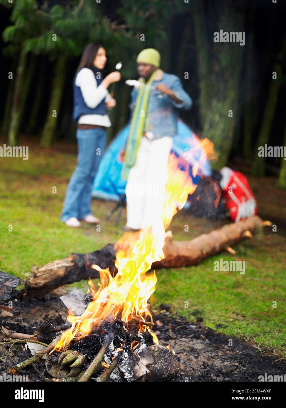 Person Tending Camp Fire