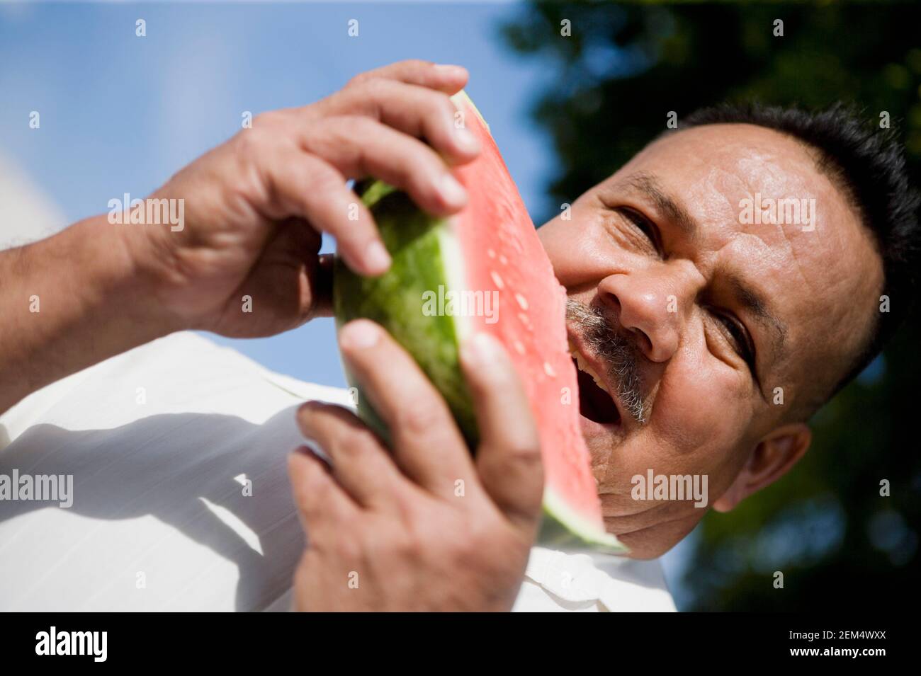 Slice watermelon angle view hi-res stock photography and images - Alamy