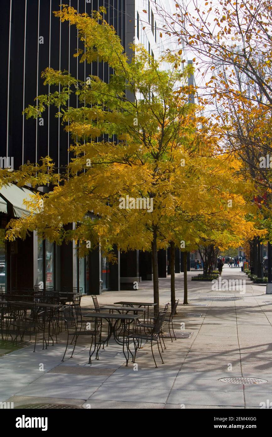 Sidewalk cafe at a pedestrian walkway, Washington DC, Washington State ...