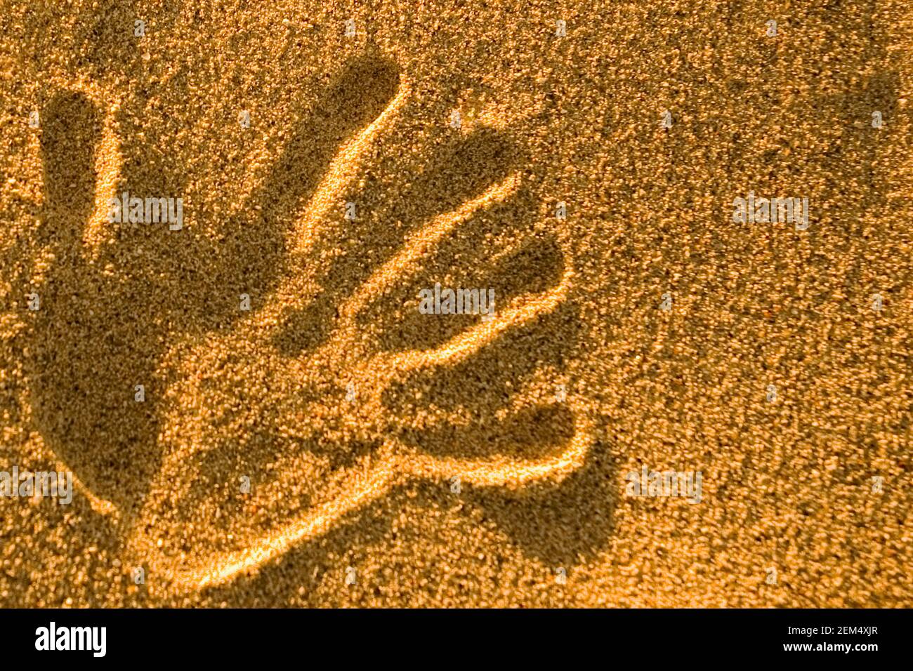 High angle view of a handprint on the beach Stock Photo - Alamy
