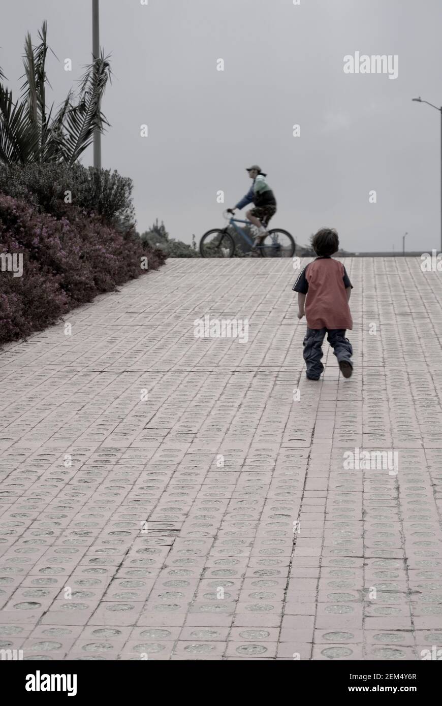 Rear view of a boy walking on a path Stock Photo - Alamy