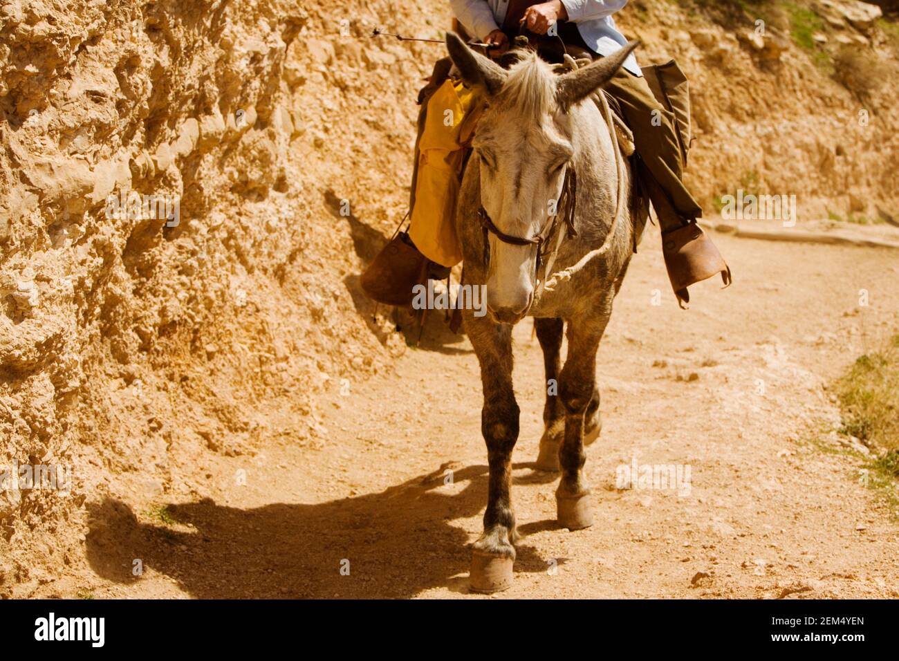Low section view of a person horseback riding, Las Vegas, Nevada, USA ...