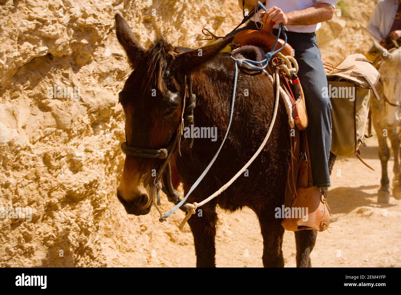 Low section view of a person horseback riding, Las Vegas, Nevada, USA ...