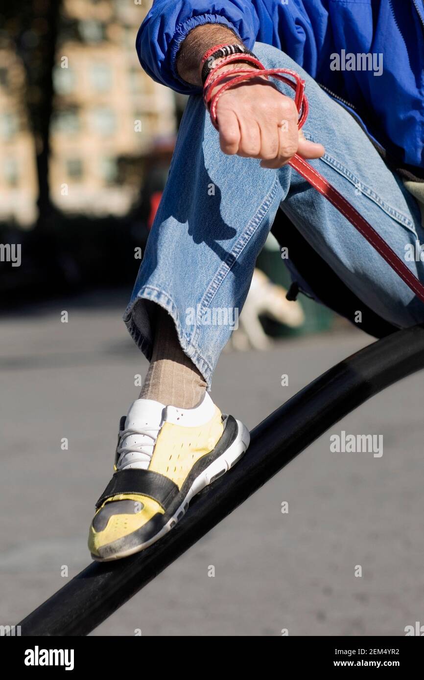 Low section view of a man holding a leash Stock Photo - Alamy
