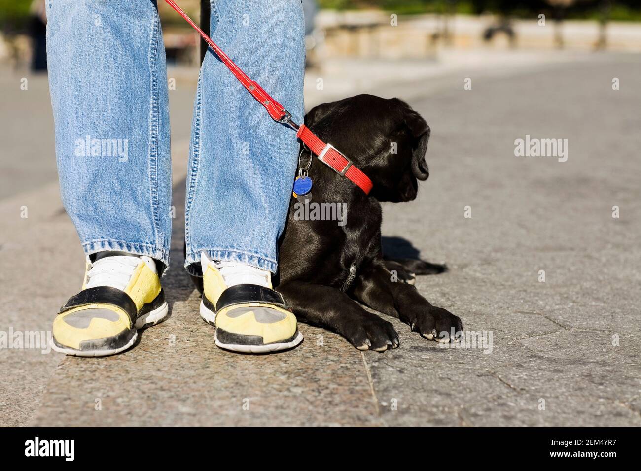 Low section view of a man standing with his dog beside him Stock Photo ...