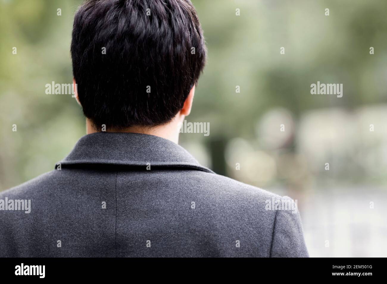 Rear view of a businessman Stock Photo - Alamy