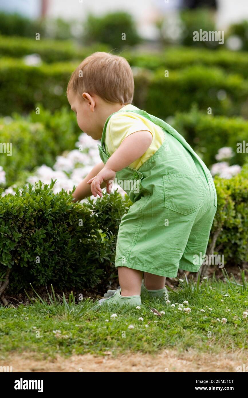 Side profile of a baby boy plucking a flower in a garden Stock Photo ...