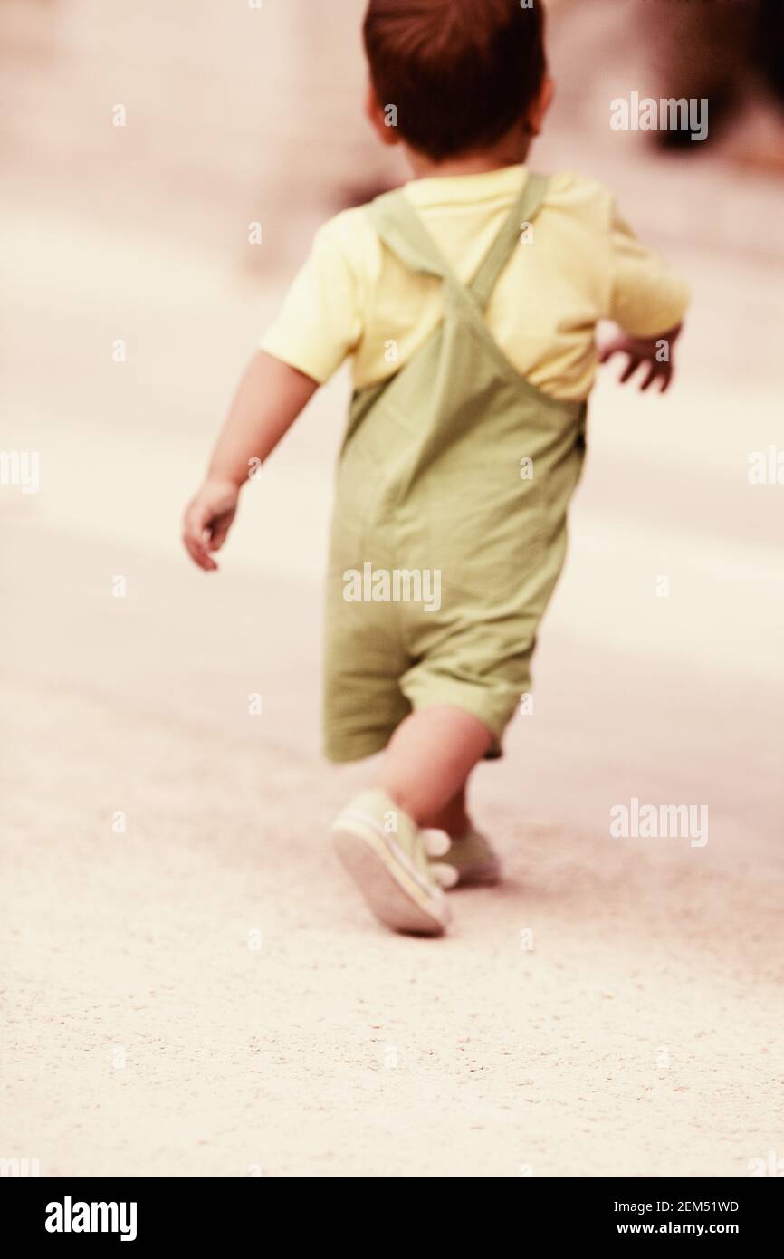 Rear view of a baby boy walking Stock Photo - Alamy