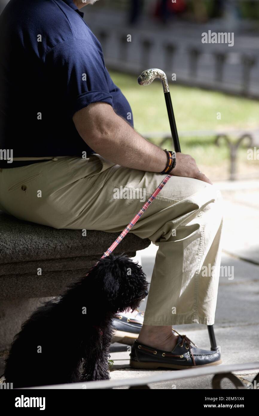 Side profile of a man with his pets Stock Photo - Alamy
