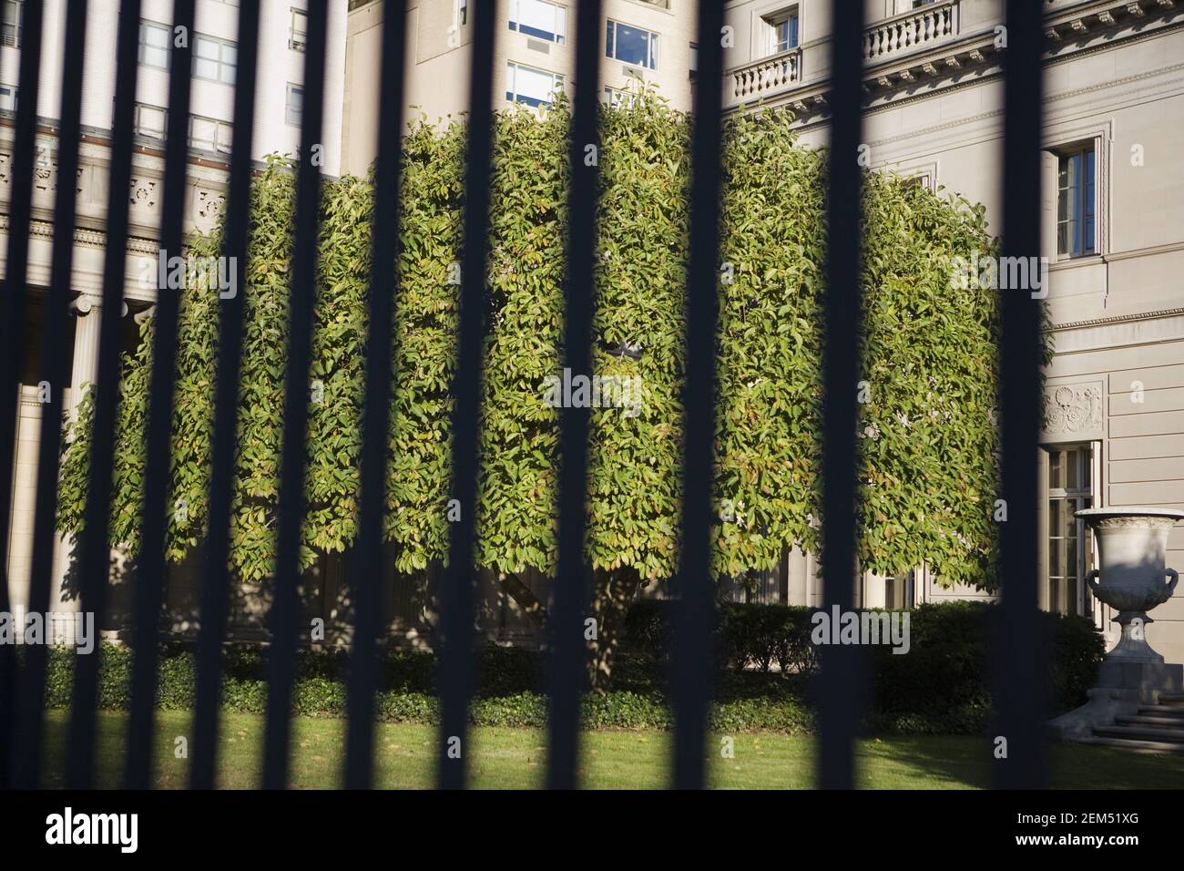 Tree viewed through a fence, New York City, New York State, USA Stock ...