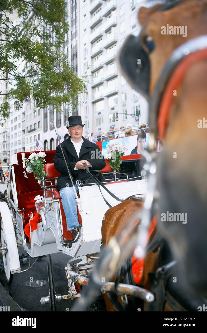 Mature man sitting on a horse drawn carriage Stock Photo - Alamy
