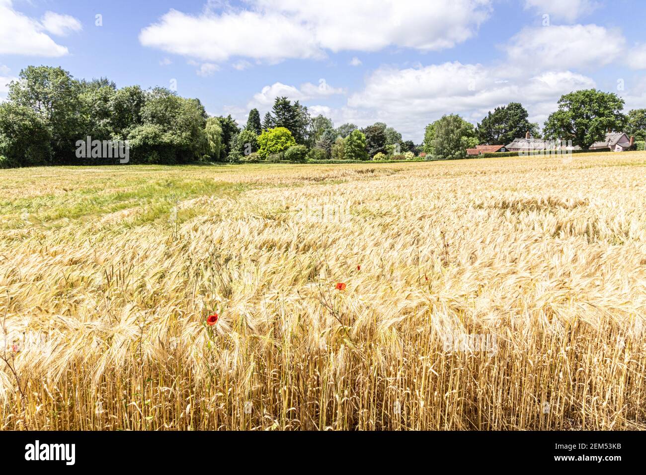 Chelsworth suffolk hi-res stock photography and images - Alamy