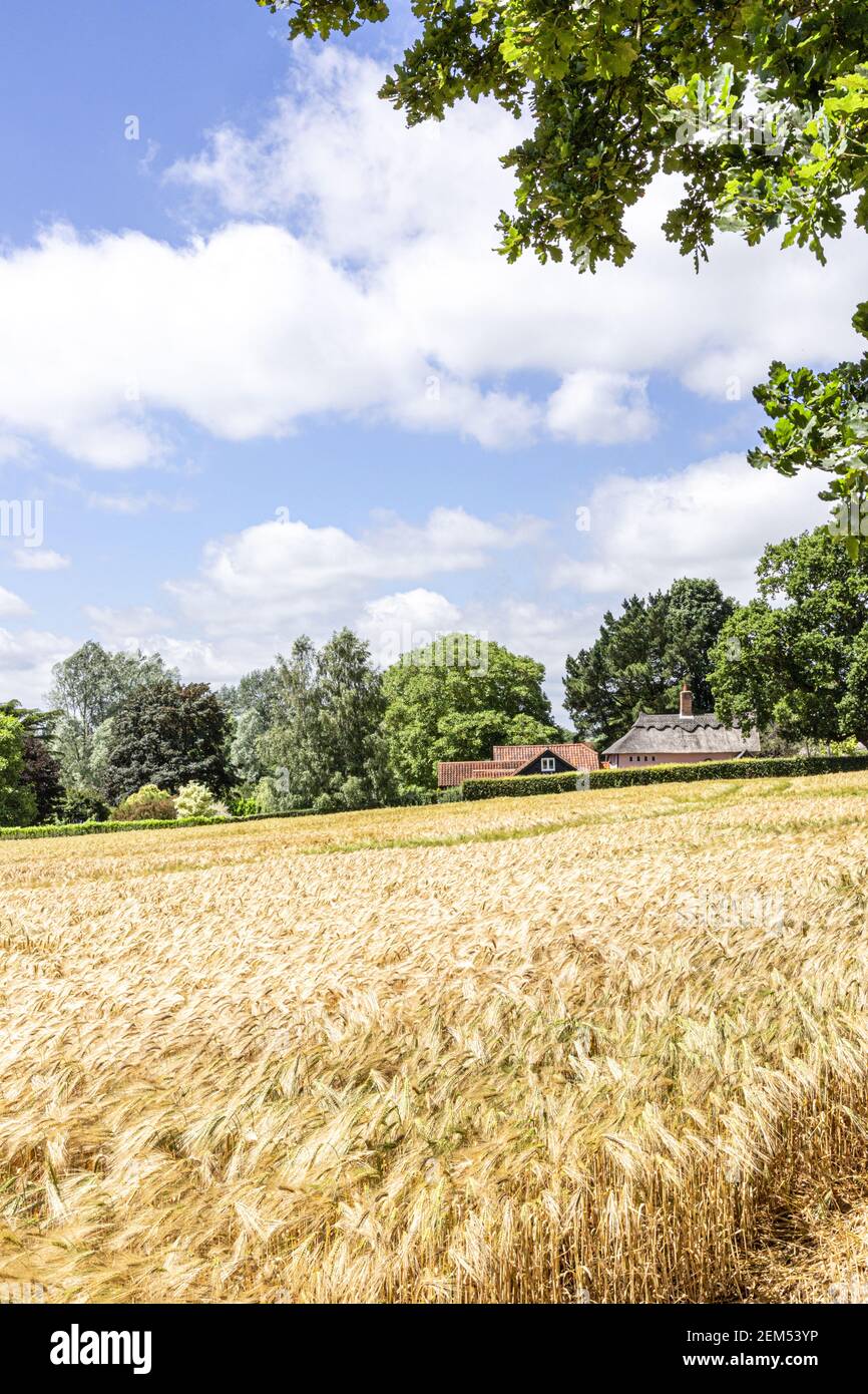 Suffolk uk village scene hi-res stock photography and images - Alamy