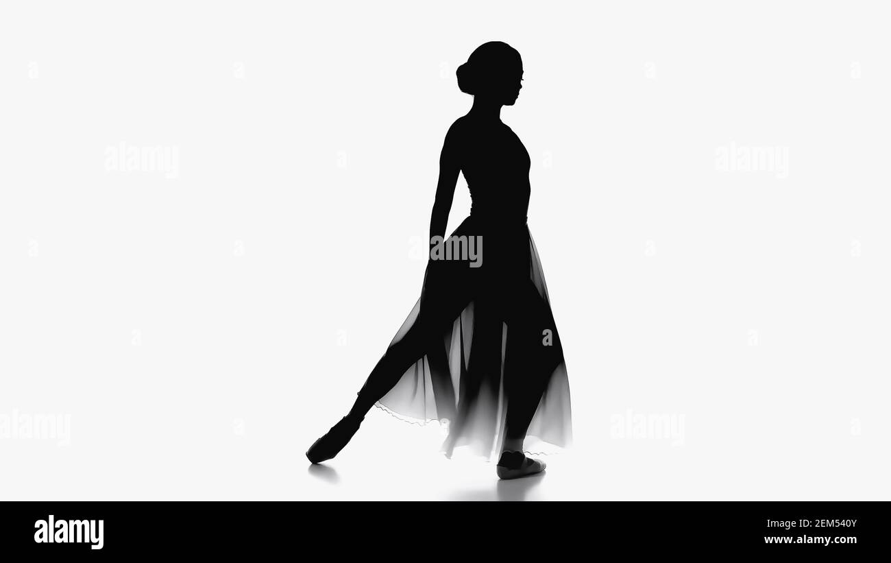 silhouette of ballerina in pointe dancing on white background Stock ...