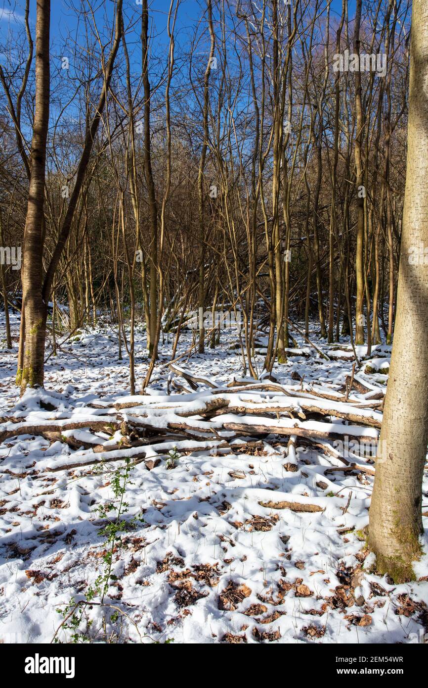 Weak consistency hi-res stock photography and images - Alamy