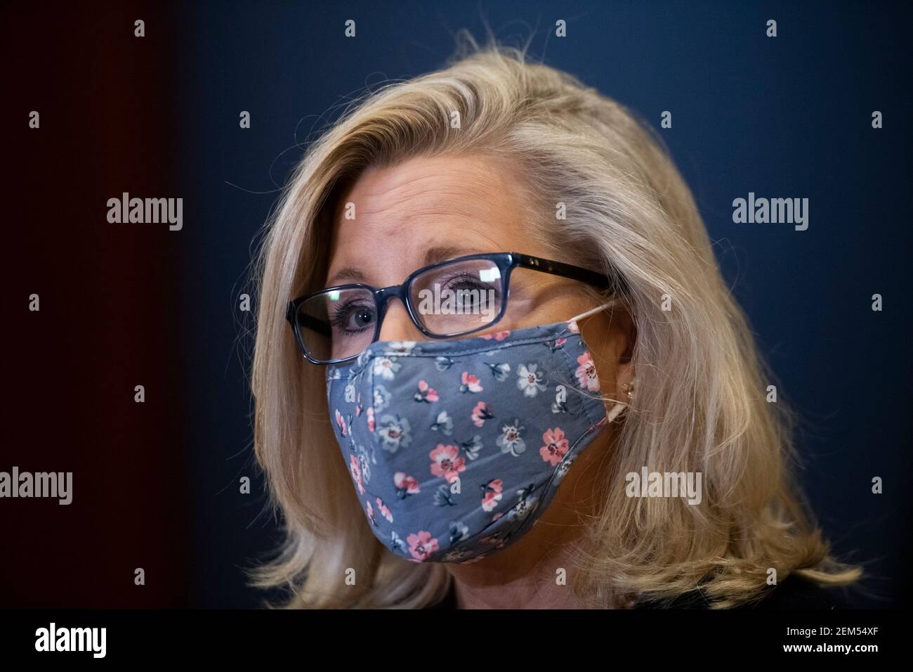 United States Representative Liz Cheney (Republican of Wyoming) offers ...
