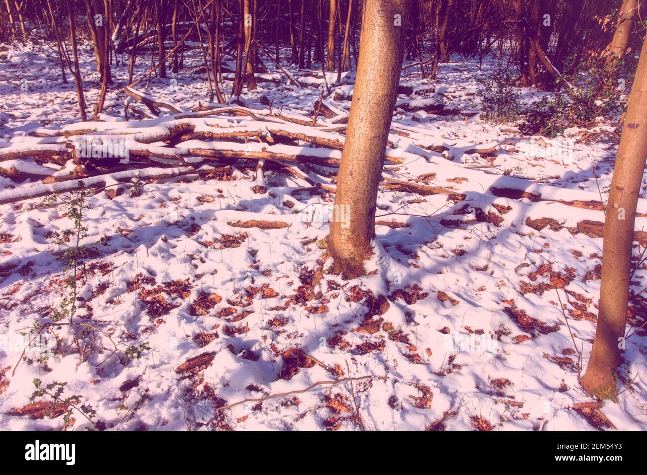 Weak consistency hi-res stock photography and images - Alamy