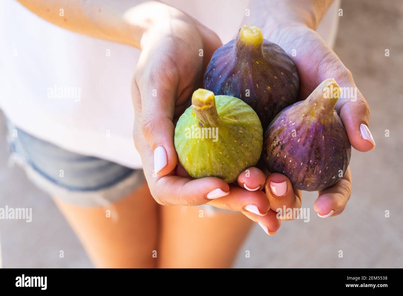 Hands holding figs hi-res stock photography and images - Alamy