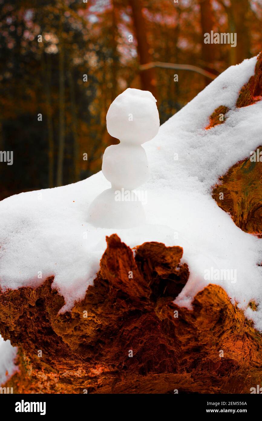 Tiny woodland snowman following snowfall in southern England, late ...
