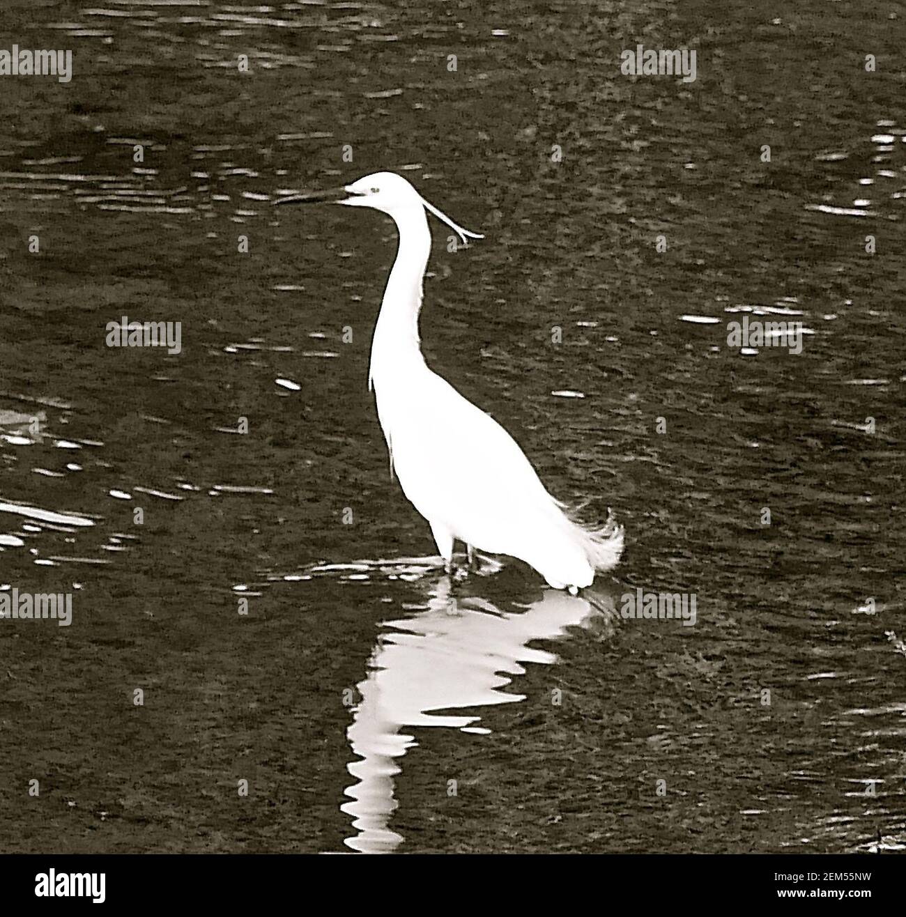 Baron river weir hi-res stock photography and images - Alamy