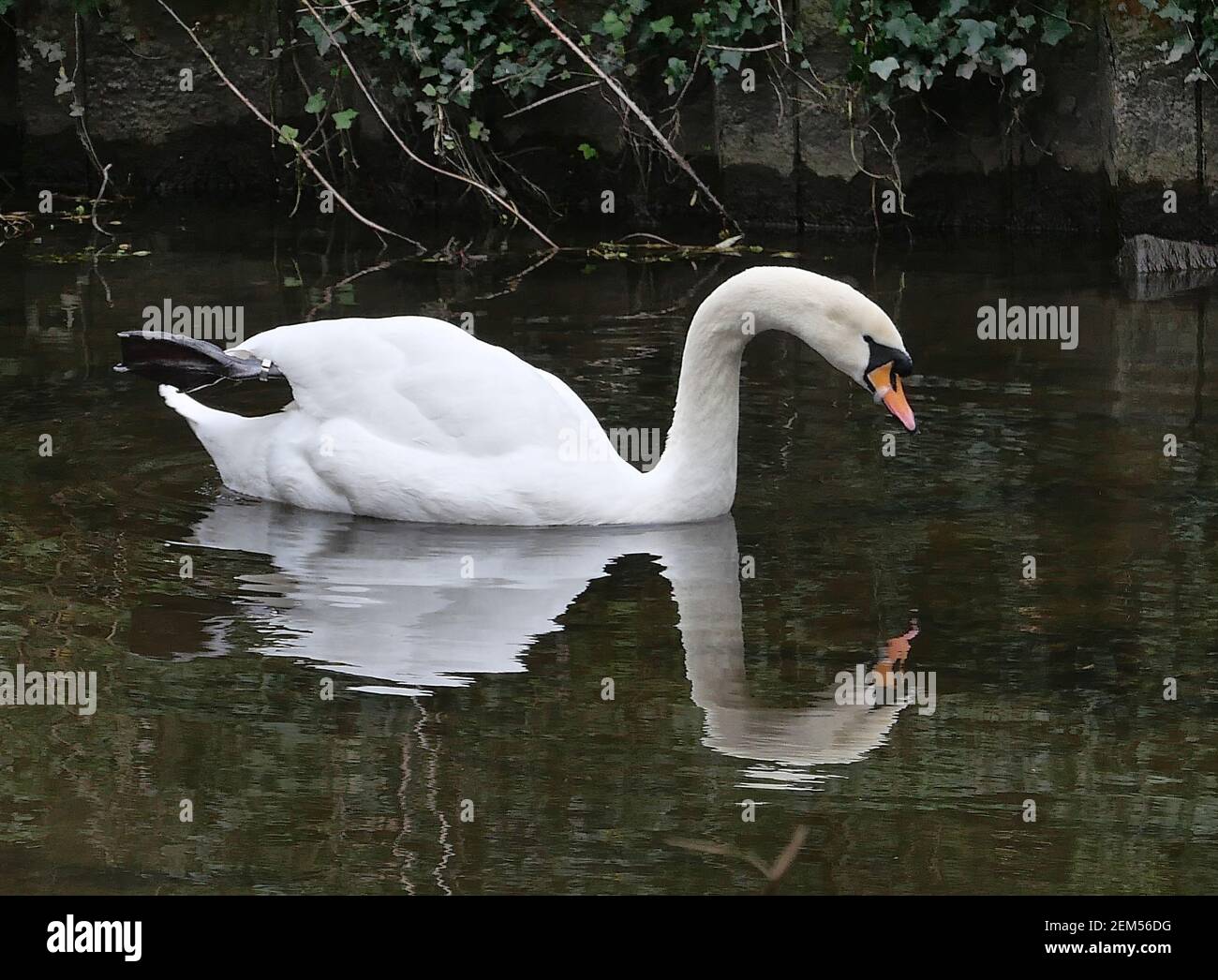 Baron river weir hi-res stock photography and images - Alamy