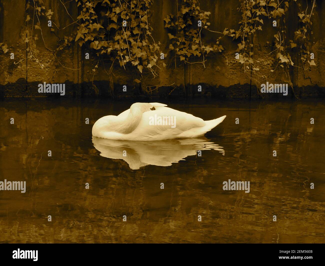 Baron river weir hi-res stock photography and images - Alamy