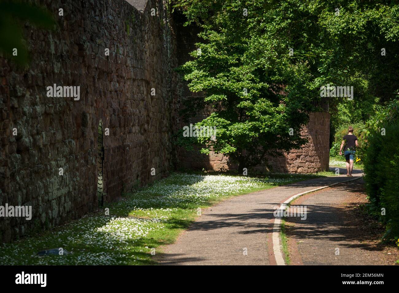 Exeter roman hi-res stock photography and images - Alamy