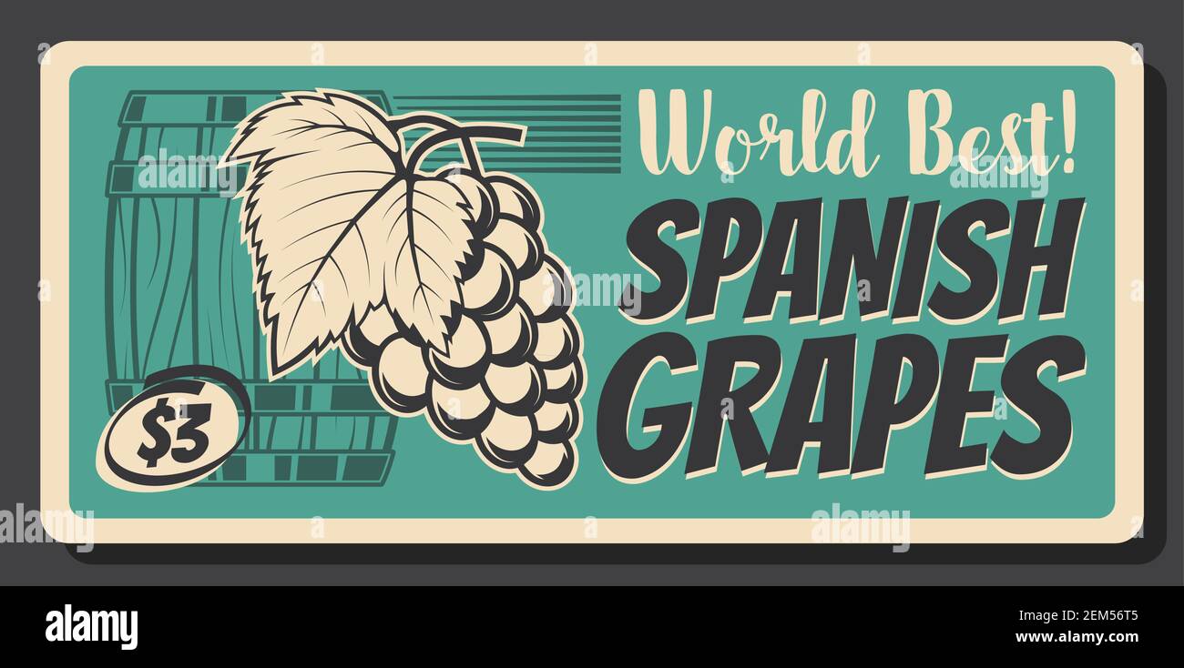 Spanish ripe grape fruits retro banner, vector vintage card. Bunch of ...