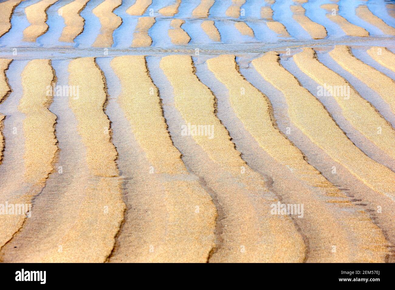 Sand ridges seen at low tide on the beach at Sennen Cove in Cornwall ...