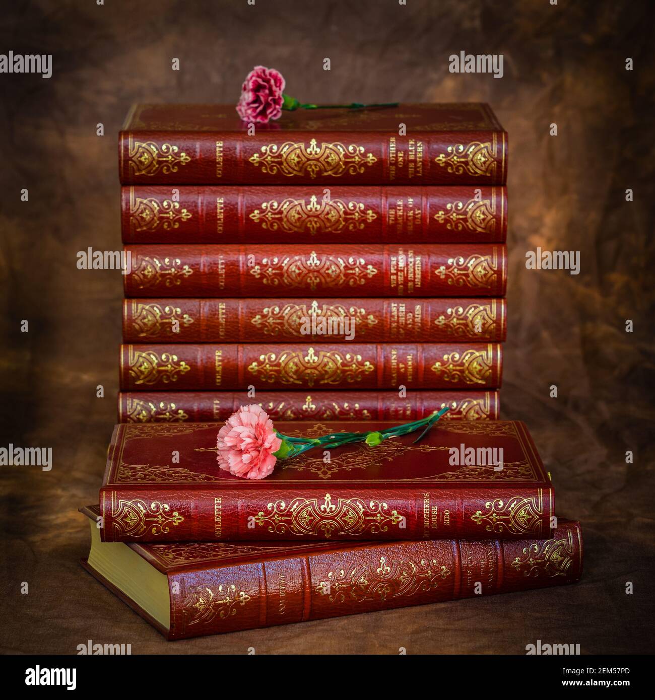 Classic peonies hi-res stock photography and images - Alamy