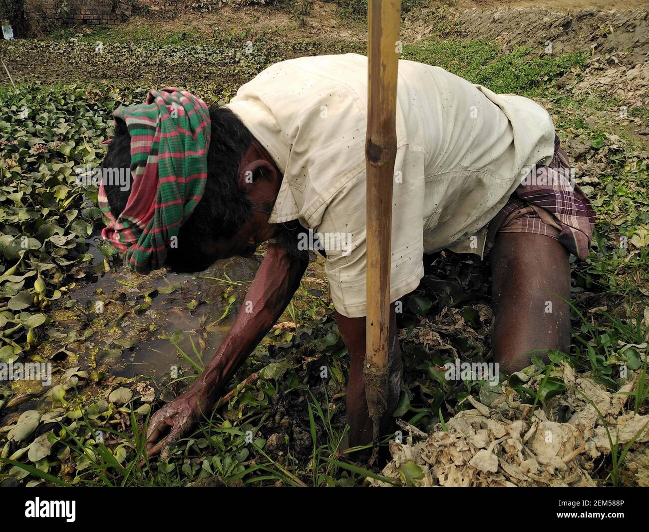 Santal ethnic hi-res stock photography and images - Alamy