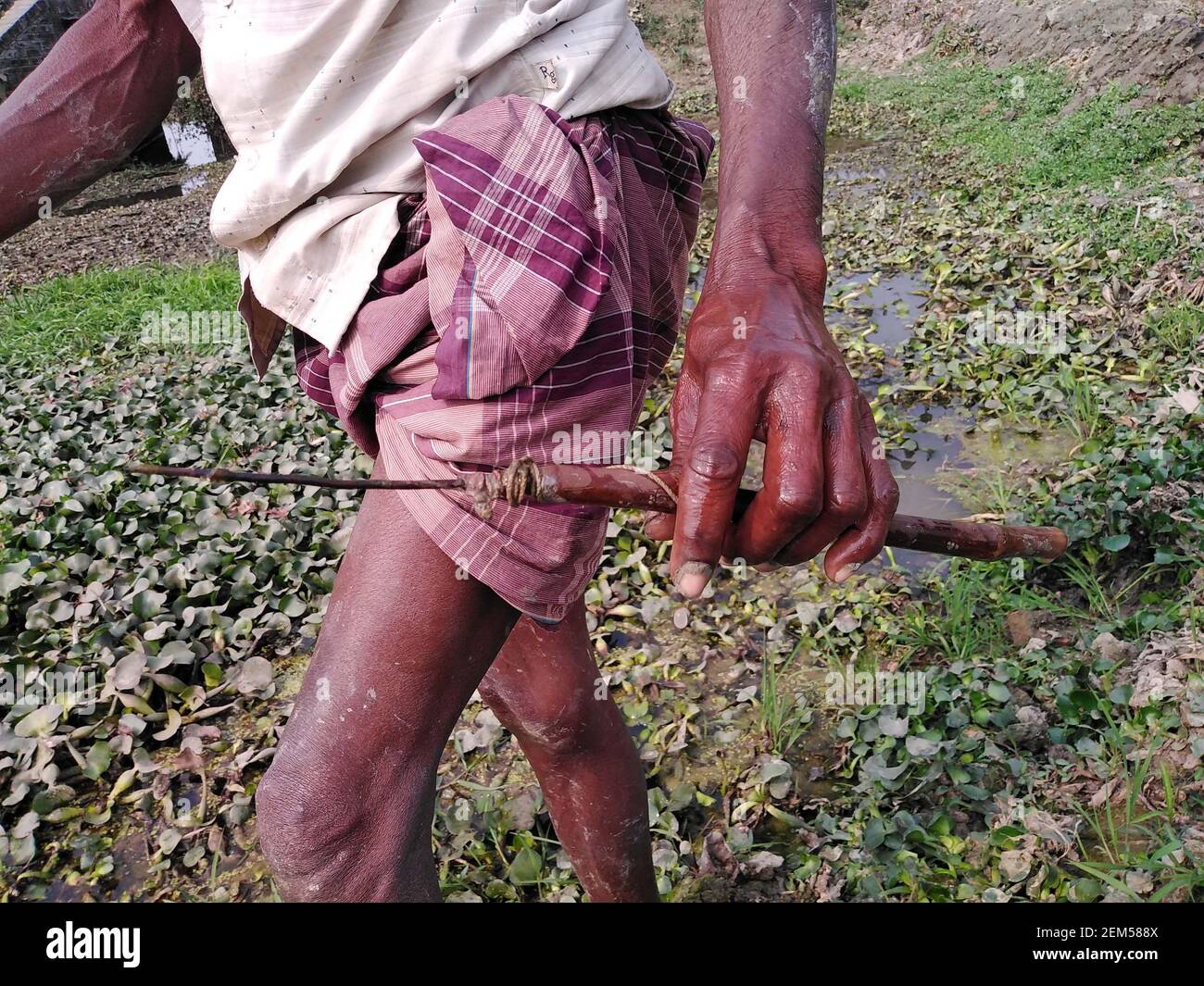 Santal ethnic hi-res stock photography and images - Alamy