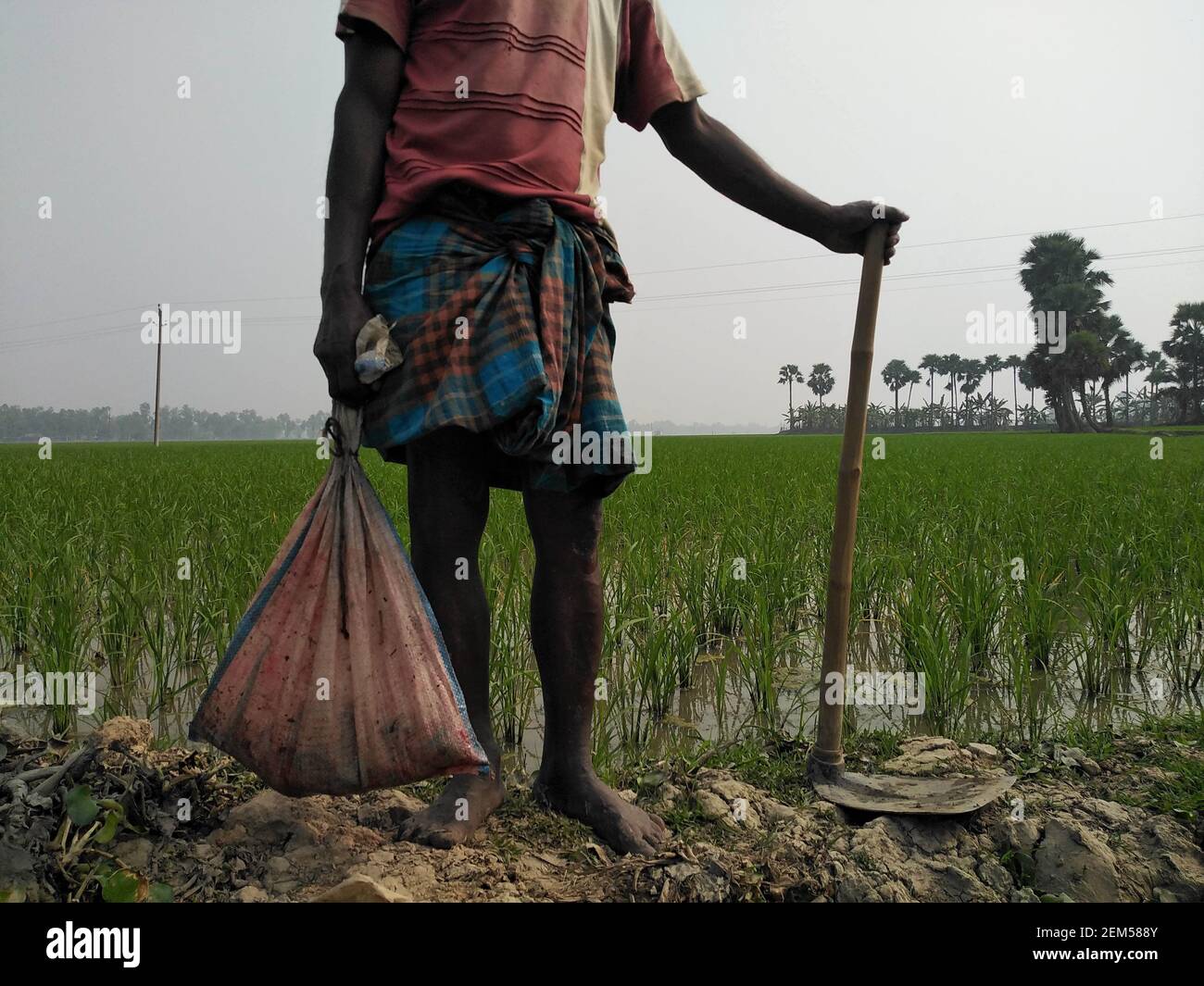 February 24, 2021, Naogaon, Bangladesh: Indigenous Santal (Munda ethnic ...