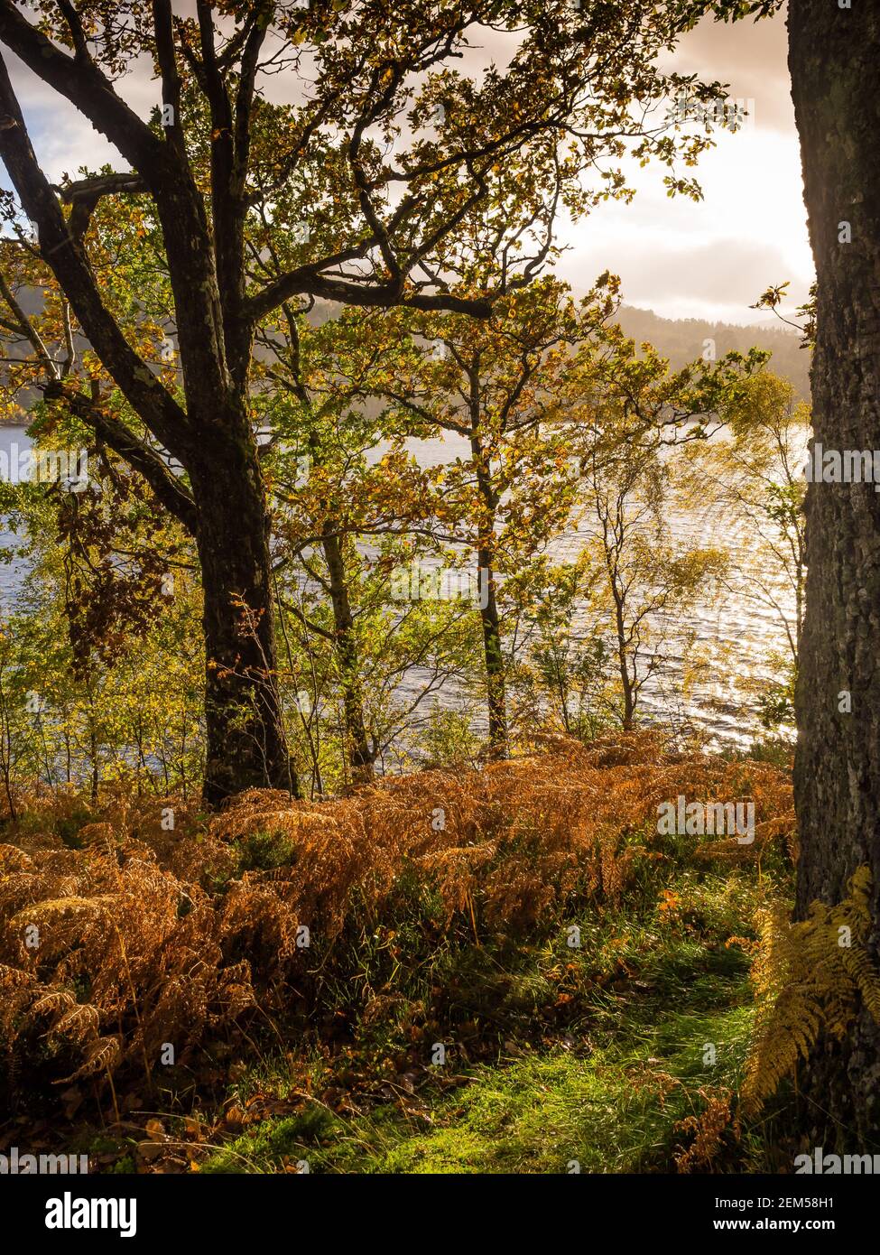 A view over Loch Garry a Scottish Highland loch Stock Photo - Alamy